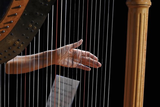 Hand Harp Player