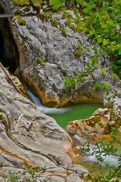 Gumpe Bilder – Durchsuchen 308 Archivfotos, Vektorgrafiken und Videos ...