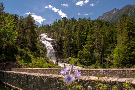 Lyd Photography photos, images, assets | Adobe Stock