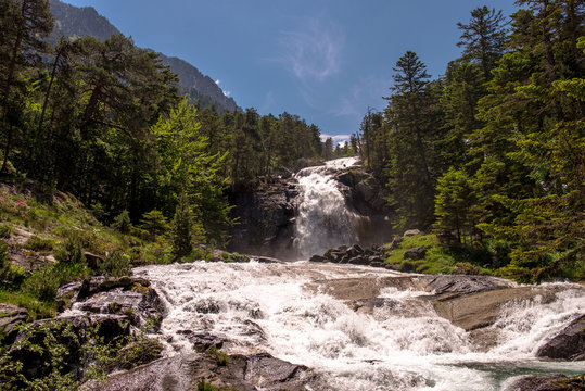 Lyd Photography photos, images, assets | Adobe Stock