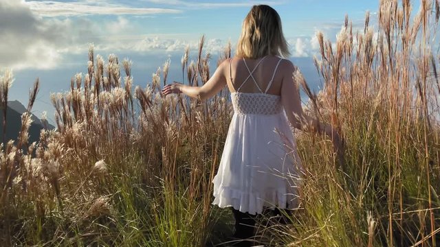 "Light Through Trees" Images – Browse 127 Stock Photos, Vectors, and ...