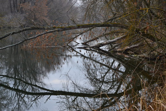 Twiling Bilder – Durchsuchen 124 Archivfotos, Vektorgrafiken und Videos ...