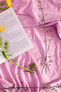 Shanny photos, images, assets | Adobe Stock
