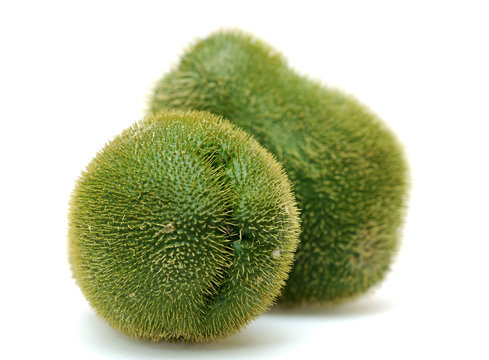 รูปภาพIskus – เลือกดูภาพถ่ายสต็อก เวกเตอร์ และวิดีโอ5,283 | Adobe Stock