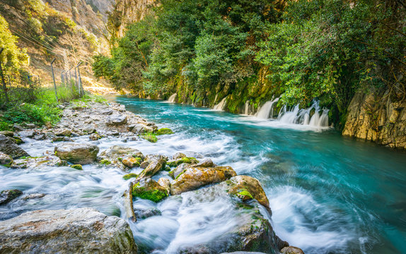 Karasu Images – Browse 388 Stock Photos, Vectors, and Video | Adobe Stock