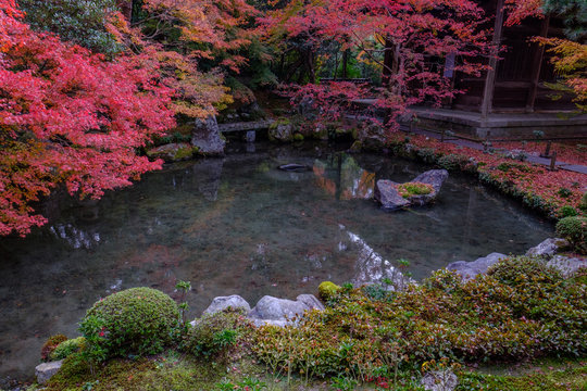 Renge Bilder – Durchsuchen 227 Archivfotos, Vektorgrafiken und Videos ...