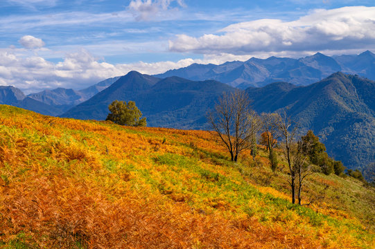 Couserans Images – Browse 683 Stock Photos, Vectors, and Video | Adobe ...