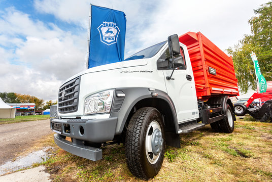 Gazel Images – Browse 159 Stock Photos, Vectors, and Video | Adobe Stock