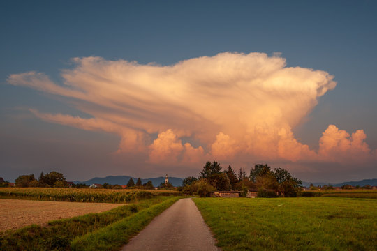 「Cumulon」の写真素材 | 95件の無料イラスト画像 | Adobe Stock
