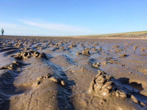Waddenzee Bilder – Durchsuchen 40,995 Archivfotos, Vektorgrafiken und ...