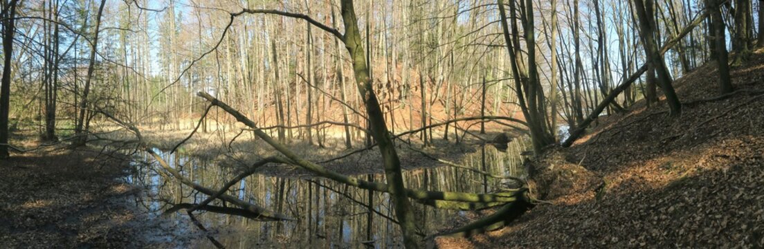 รูปภาพSumpflandschaft – เลือกดูภาพถ่ายสต็อก เวกเตอร์ และวิดีโอ743 ...