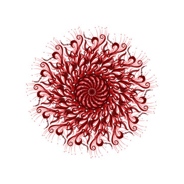 Cluster-Amaryllis Images – Browse 68 Stock Photos, Vectors, and Video ...
