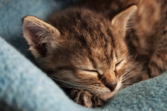 Fluey Bilder – Durchsuchen 667 Archivfotos, Vektorgrafiken und Videos ...