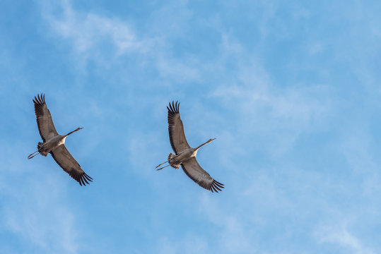 Schnacke Bilder – Durchsuchen 5,696 Archivfotos, Vektorgrafiken und ...