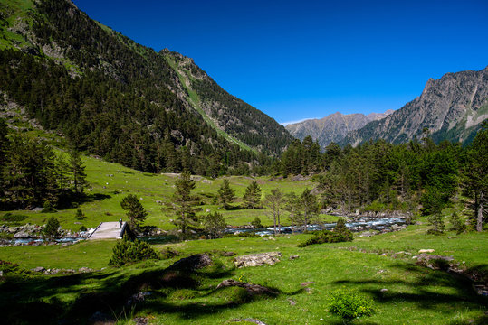 Lyd Photography photos, images, assets | Adobe Stock