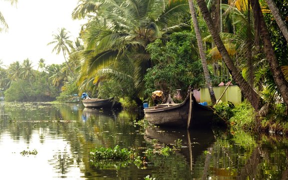 รูปภาพBackwater – เลือกดูภาพถ่ายสต็อก เวกเตอร์ และวิดีโอ23,207 | Adobe ...