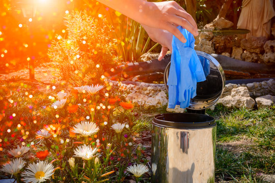 52 BEST Trows IMAGES, STOCK PHOTOS & VECTORS | Adobe Stock