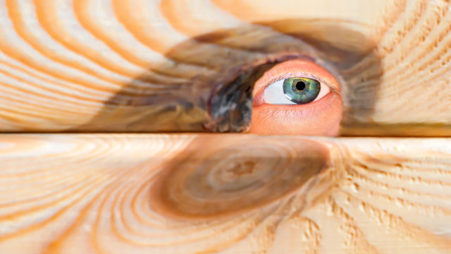 Furtively Images – Browse 602 Stock Photos, Vectors, and Video | Adobe ...