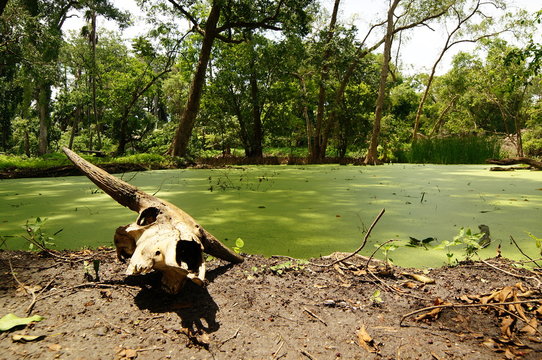 รูปภาพZnco3 – เลือกดูภาพถ่ายสต็อก เวกเตอร์ และวิดีโอ381 | Adobe Stock