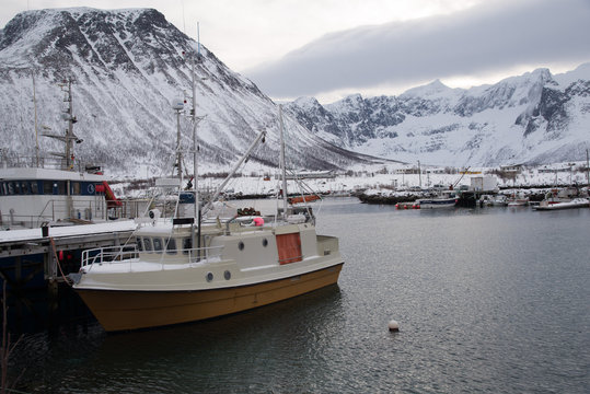 รูปภาพTromvik – เลือกดูภาพถ่ายสต็อก เวกเตอร์ และวิดีโอ98 | Adobe Stock