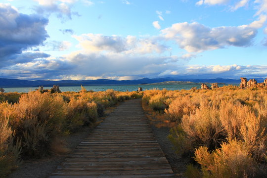 Imágenes de Endlos: descubre bancos de fotos, ilustraciones, vectores y ...