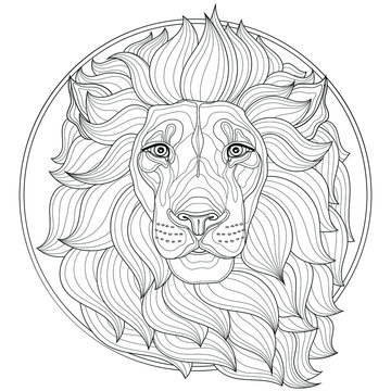 Adult Lion Coloring Pages