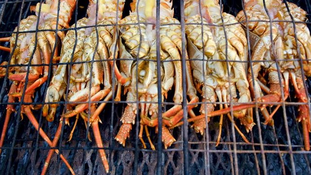 Kreef Bilder – Durchsuchen 26 Archivfotos, Vektorgrafiken und Videos ...