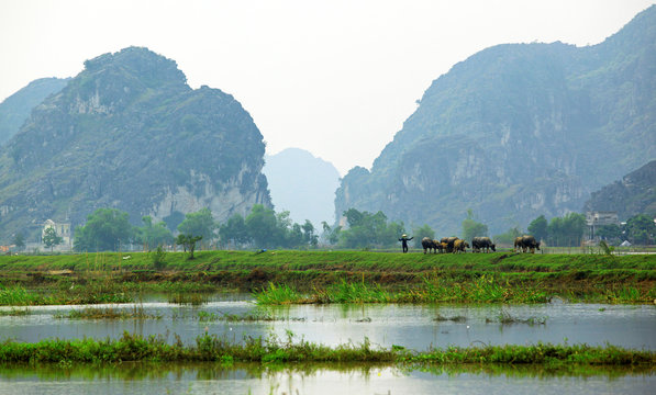 Indochiny Images – Browse 51 Stock Photos, Vectors, and Video | Adobe Stock