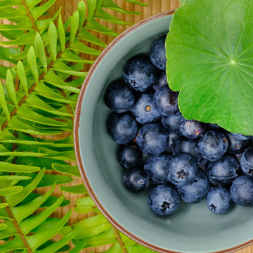 Farkleberry Images – Browse 55 Stock Photos, Vectors, and Video | Adobe ...