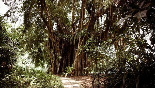 886 IMAGES, PHOTOS ET ILLUSTRATIONS VECTORIELLES STOCK APPROPRIÉES SUR ...