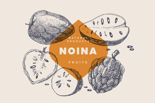 Noina Images – Browse 80 Stock Photos, Vectors, and Video | Adobe Stock