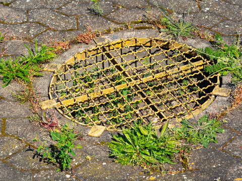 รูปภาพWasserabfluss – เลือกดูภาพถ่ายสต็อก เวกเตอร์ และวิดีโอ294 | Adobe ...