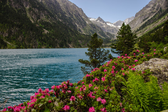 Lyd Photography photos, images, assets | Adobe Stock