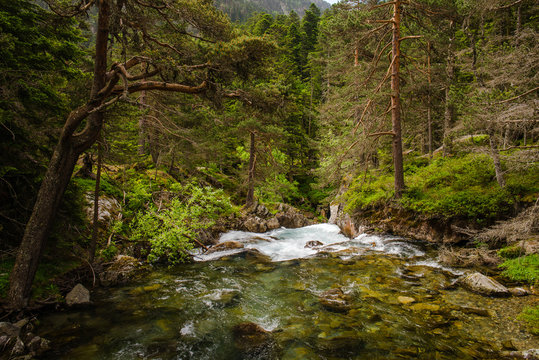 Lyd Photography photos, images, assets | Adobe Stock