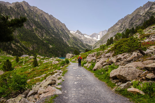 Lyd Photography photos, images, assets | Adobe Stock