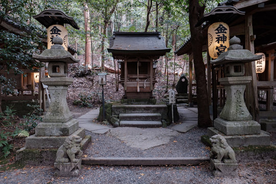 Zenin Bilder – Durchsuchen 75 Archivfotos, Vektorgrafiken und Videos ...