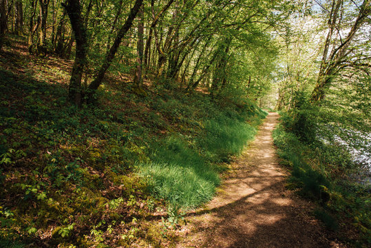 "Chemin Forestier" Images – Browse 530 Stock Photos, Vectors, and Video ...