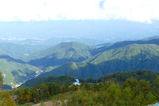 Prosimian Bilder – Durchsuchen 4,015 Archivfotos, Vektorgrafiken und ...