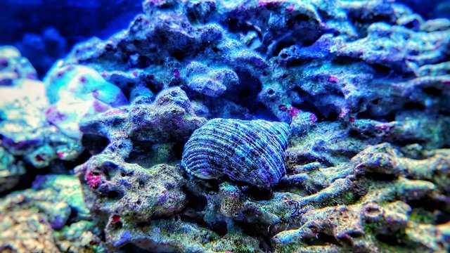 Tectum Images – Browse 60 Stock Photos, Vectors, and Video | Adobe Stock