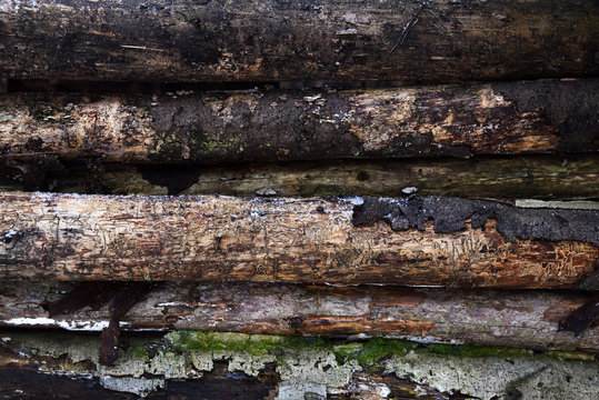 รูปภาพBaulk – เลือกดูภาพถ่ายสต็อก เวกเตอร์ และวิดีโอ136,212 | Adobe Stock