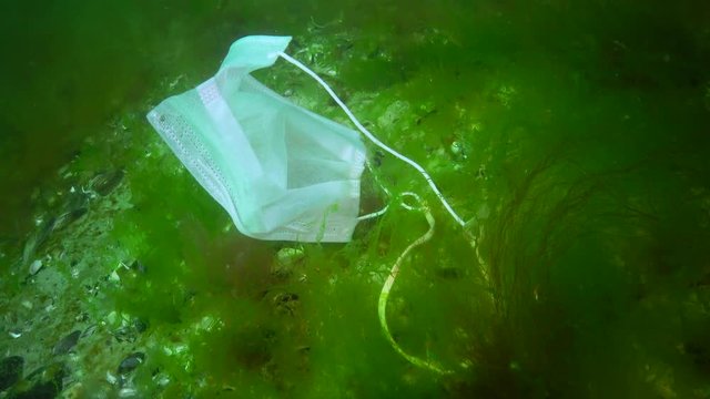 Imágenes de Debrish: descubre bancos de fotos, ilustraciones, vectores ...