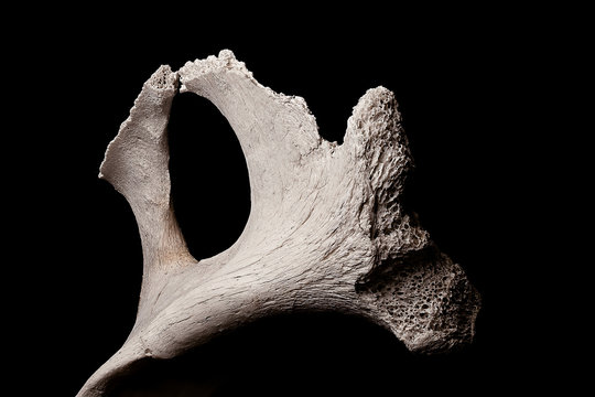 รูปภาพZnco3 – เลือกดูภาพถ่ายสต็อก เวกเตอร์ และวิดีโอ446 | Adobe Stock