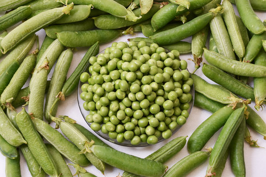 グリーンピース 画像 - 参照 18,070 Stock 写真、ベクターおよびビデオ | Adobe Stock