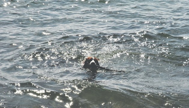 58,731 BEST Escapism IMAGES, STOCK PHOTOS & VECTORS | Adobe Stock