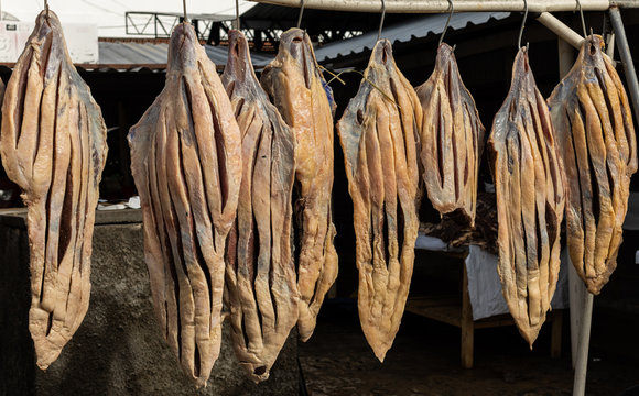 Arfar Bilder – Durchsuchen 64 Archivfotos, Vektorgrafiken und Videos ...