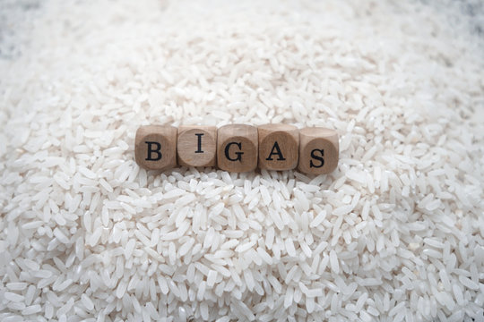 「Biga」の画像 - 452 件の Stock 写真、ベクターおよびビデオ | Adobe Stock