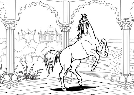 รูปภาพMarwari – เลือกดูภาพถ่ายสต็อก เวกเตอร์ และวิดีโอ526 | Adobe Stock