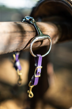 Menotter Bilder – Durchsuchen 148 Archivfotos, Vektorgrafiken und ...