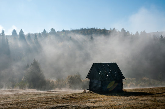 Barns Bilder – Durchsuchen 539,455 Archivfotos, Vektorgrafiken und ...