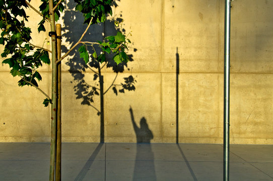 "Human Shadow" Images – Browse 170 Stock Photos, Vectors, and Video ...